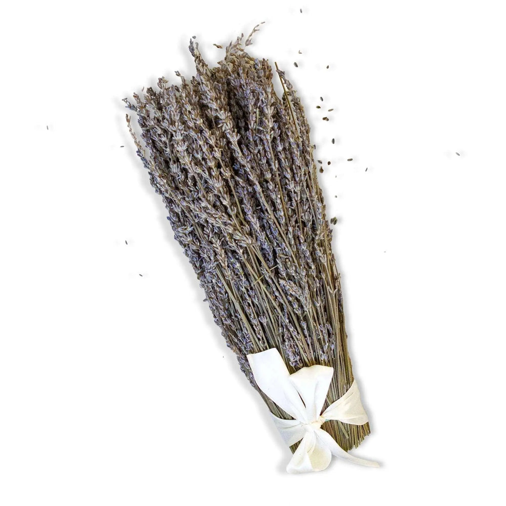 Dried Lavender Buds, Flowers, Stems, Organic - Lavender-Life.com