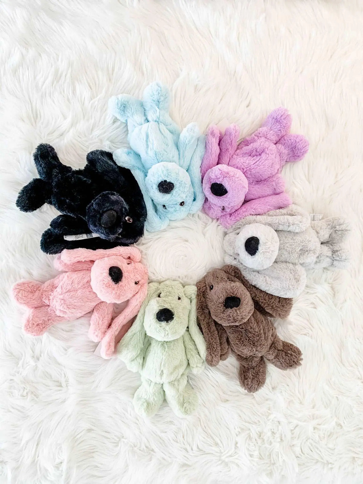 lavender Comfort Dog | Best Xander Dog | Lavender Life Company ...