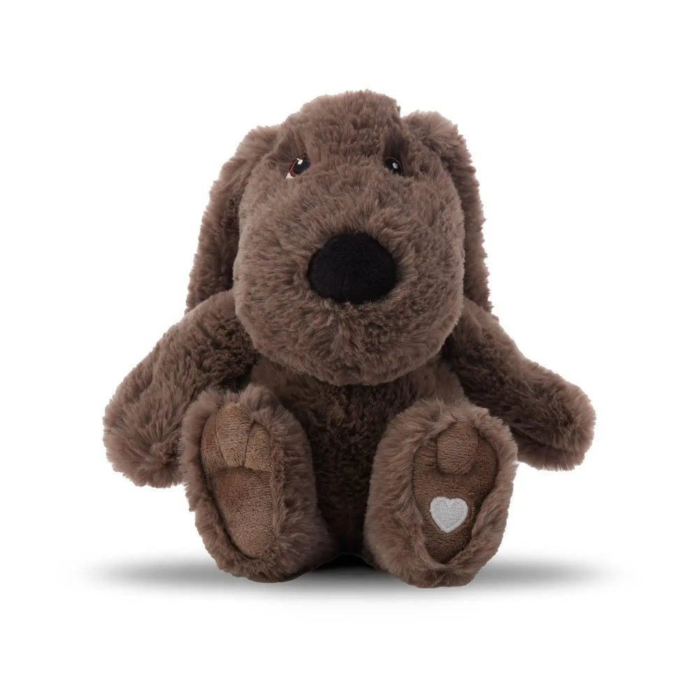 Xander Dog - Lavender Comfort Stuffed Animal